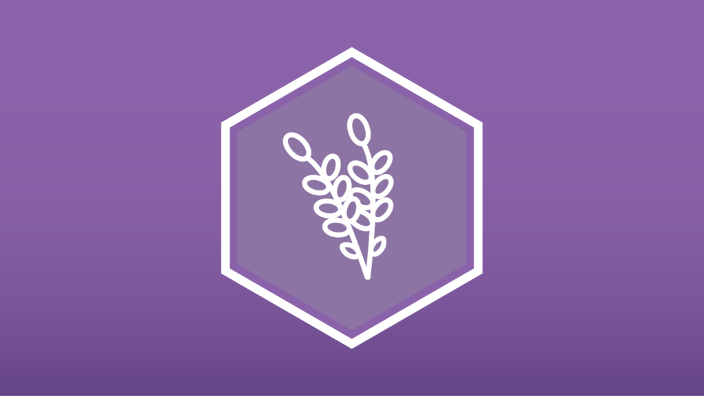 Linalool Terpene: Effects, Benefits, Uses, & Strains | MÜV
