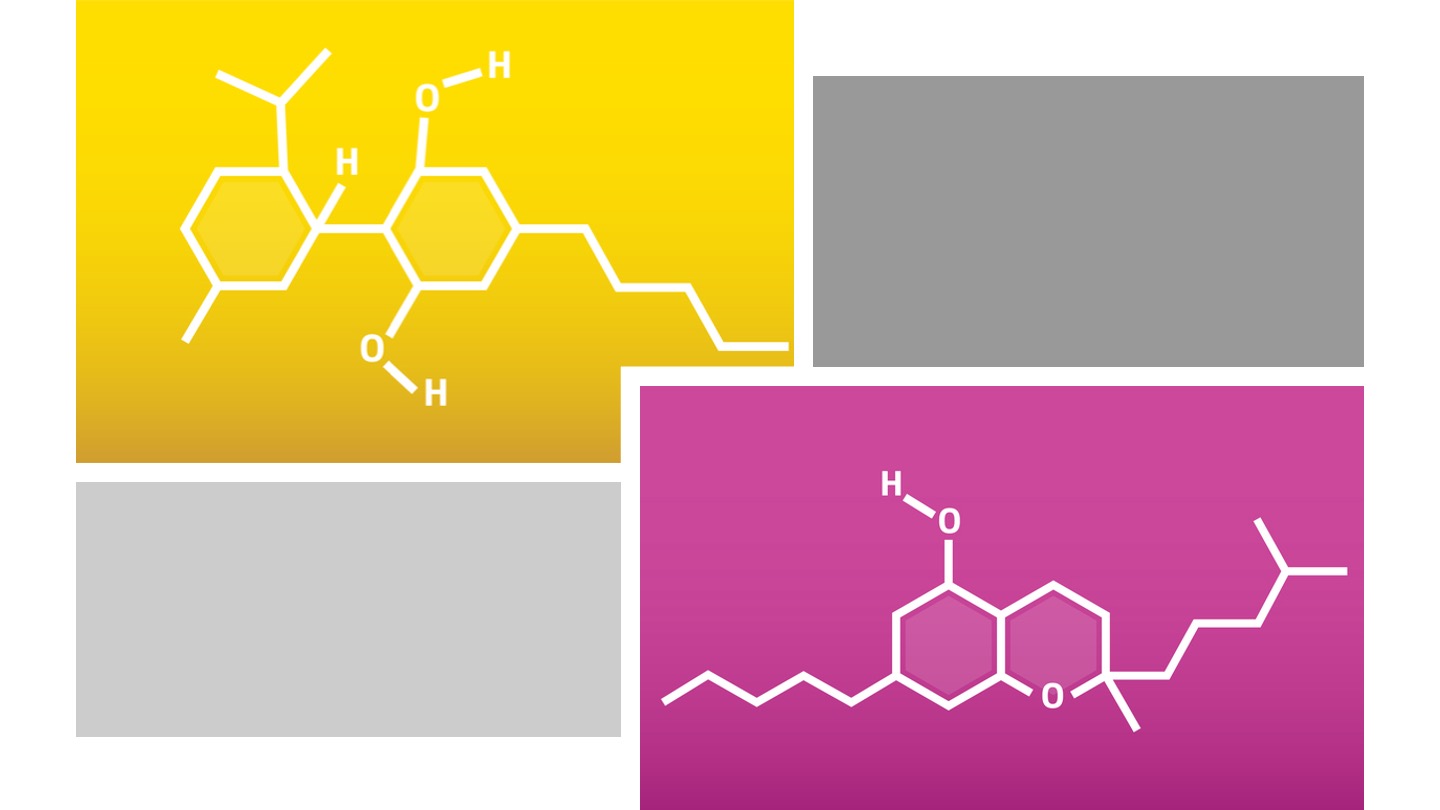 CBC vs. CBD: What's the Difference? | MÜV