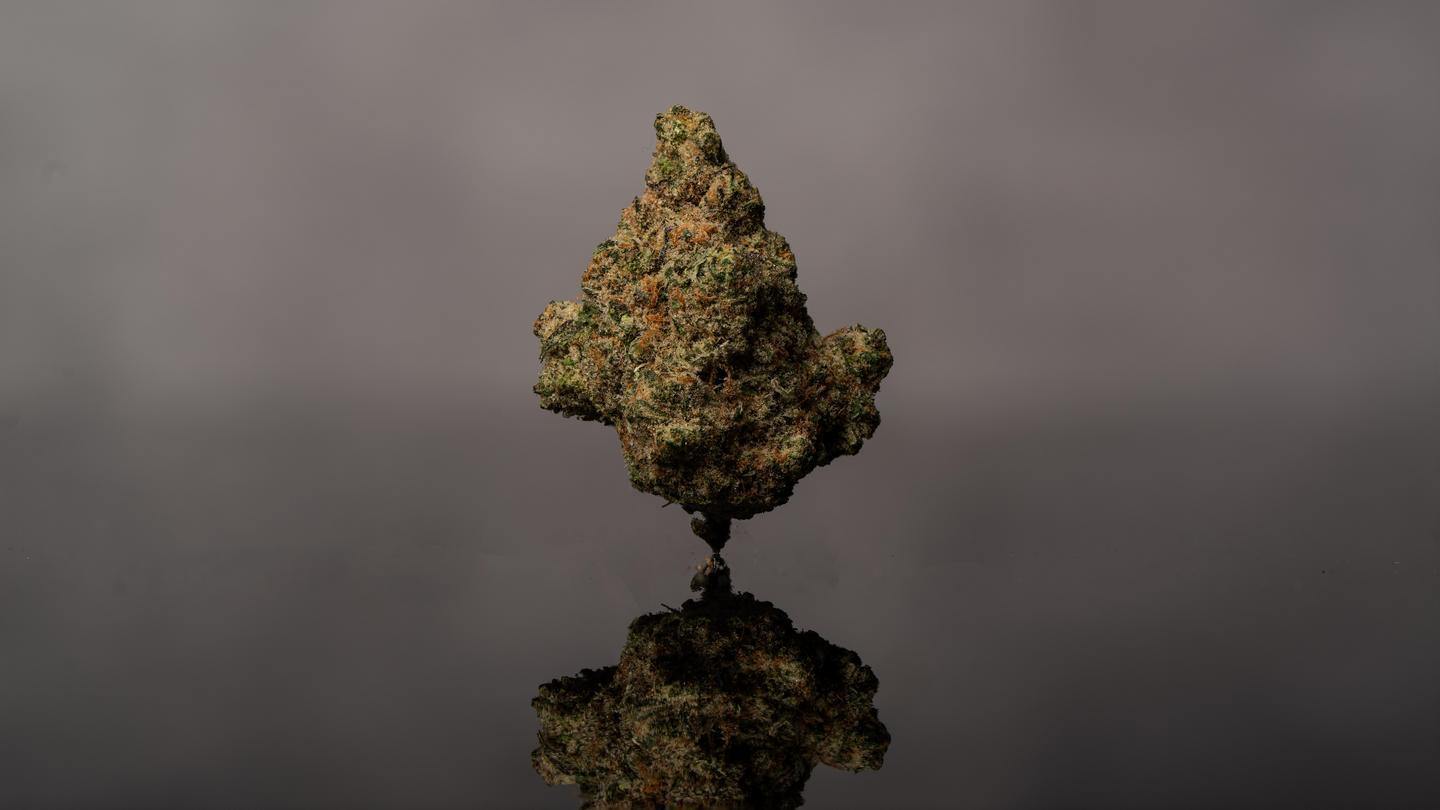 CBG vs. THC: What's the Difference? | MÜV