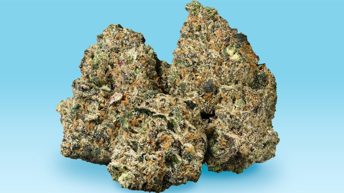 What are Landrace Strains & Why are They Important? | MÜV